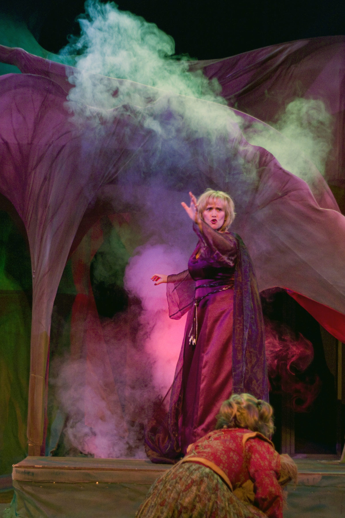 Tyler Theater Examples | Cineservices